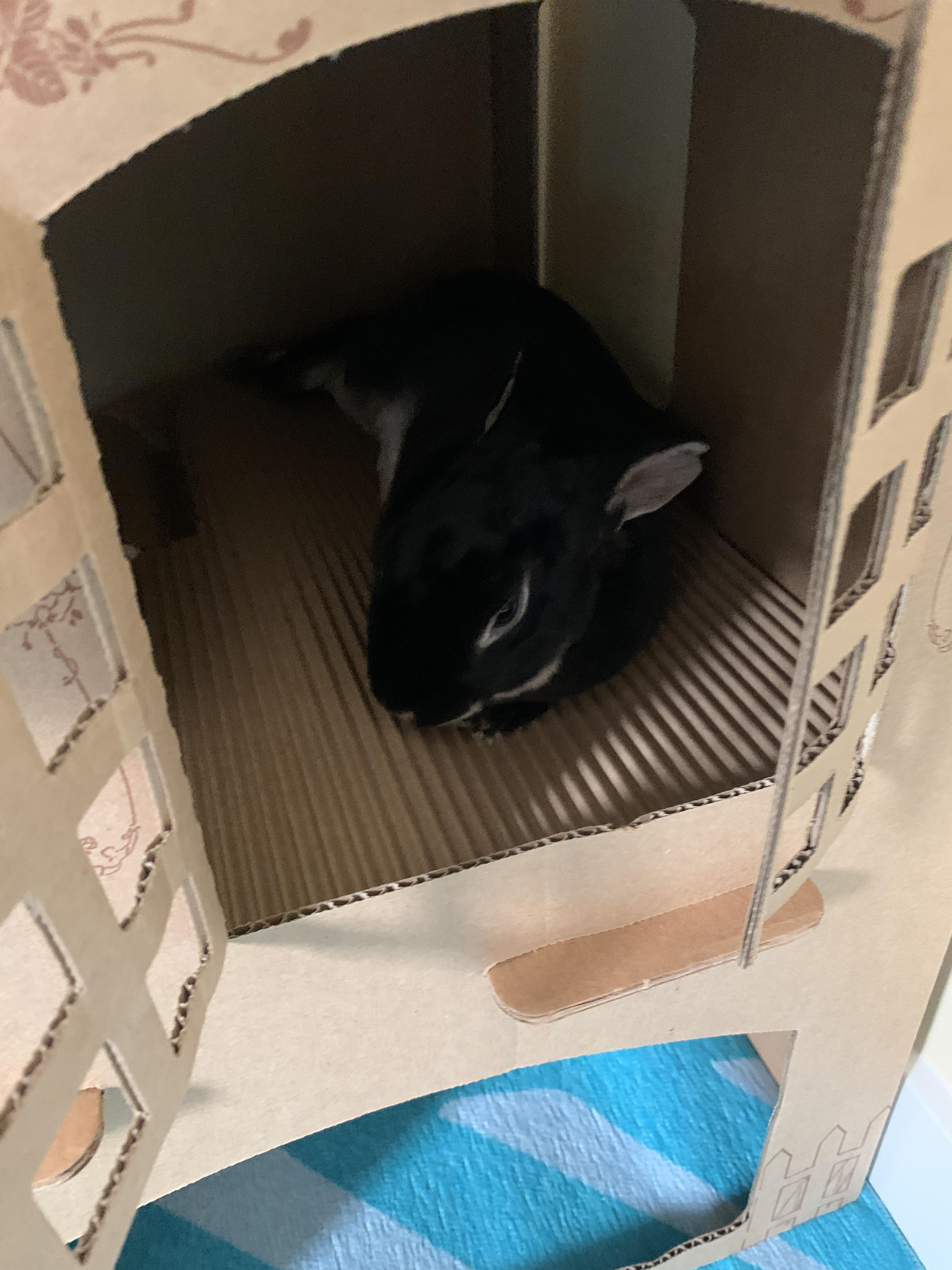 Couldn’t find him this morning! | Scrolller