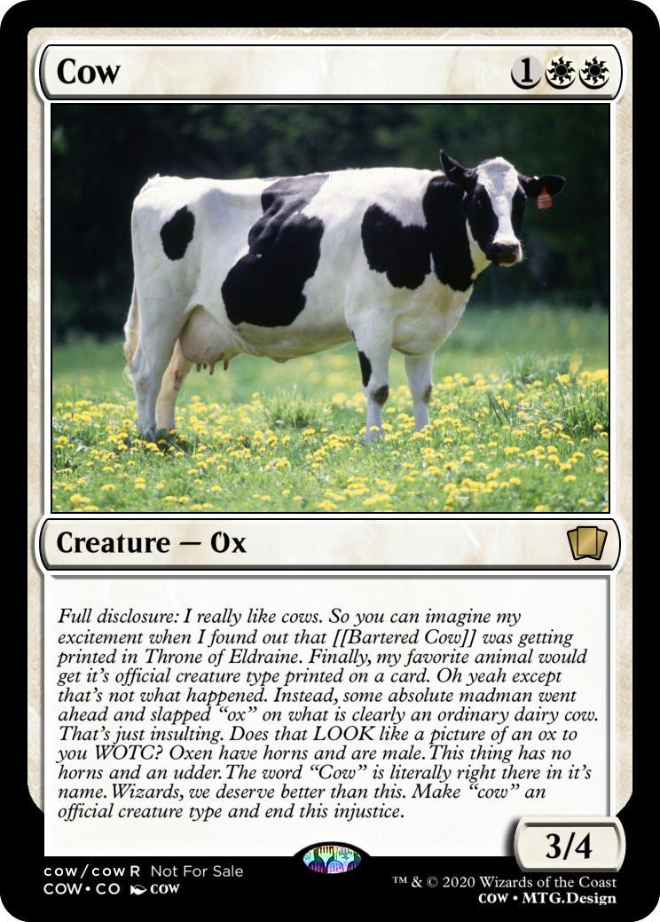 cow | Scrolller