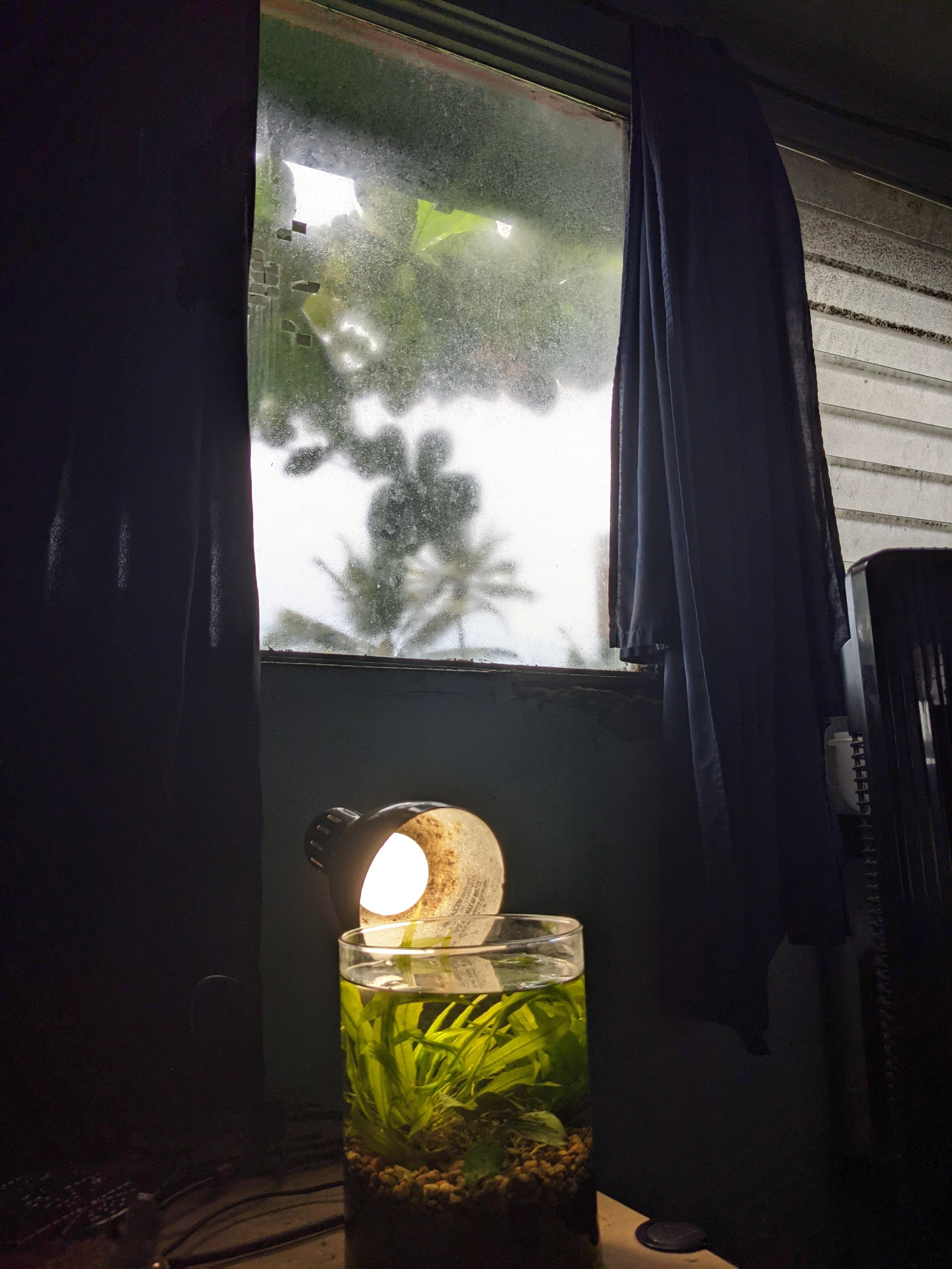 Cozy day in Hawaii | Scrolller