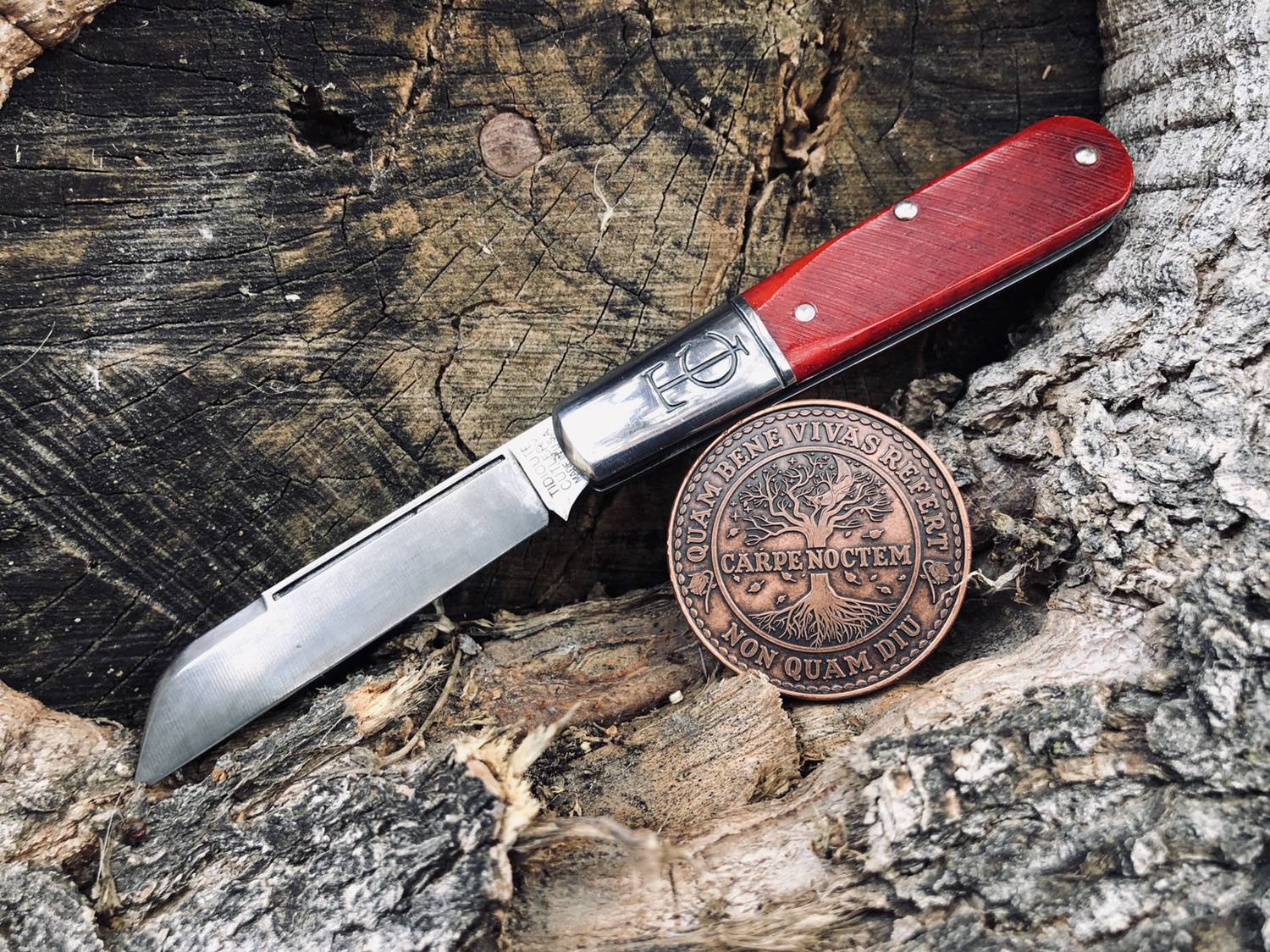 Cranberry Sawcut Bone TC Barlow | Scrolller