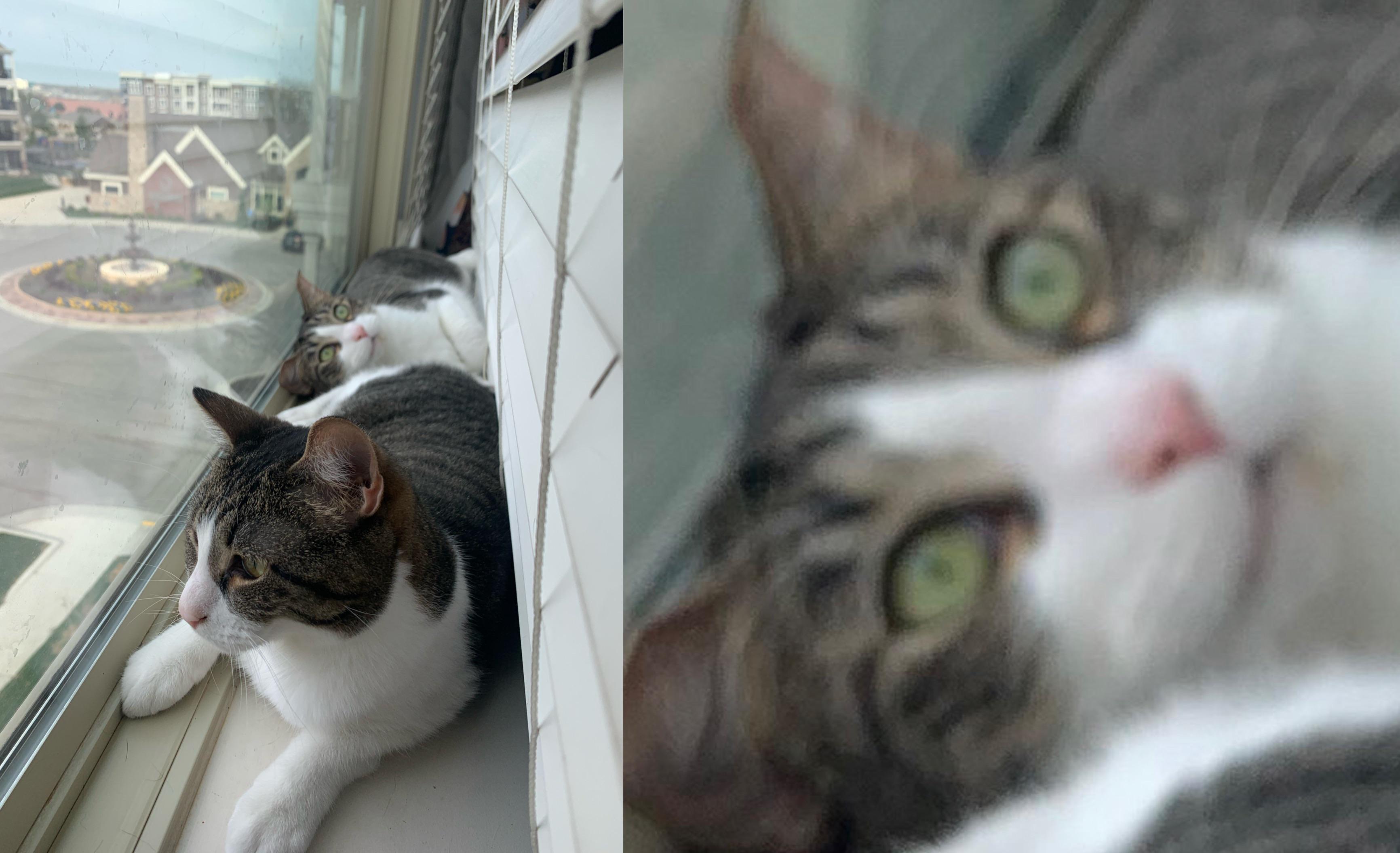 Crazy eyes | Scrolller