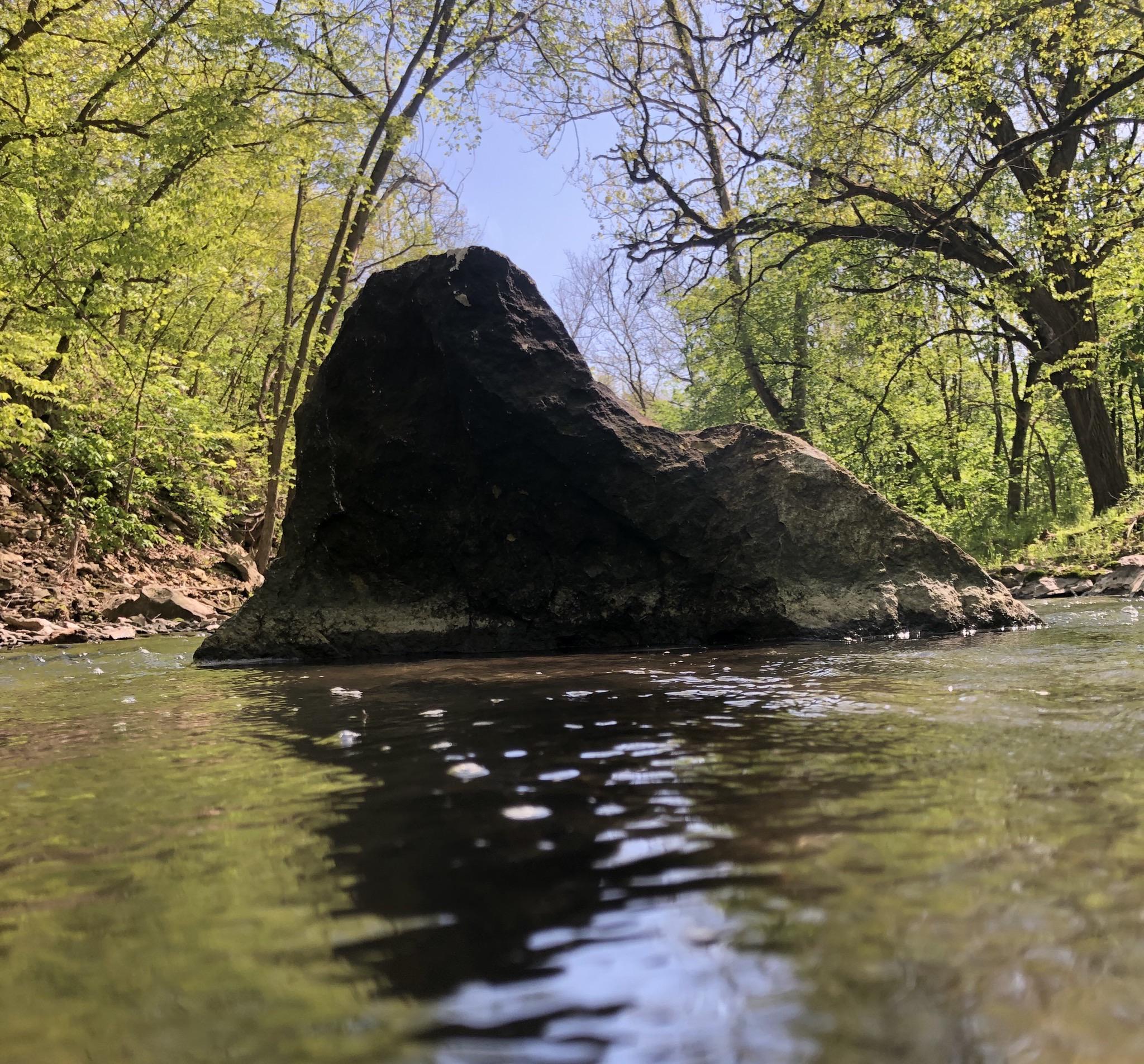 Creek walk photos, me, natural lighting | Scrolller