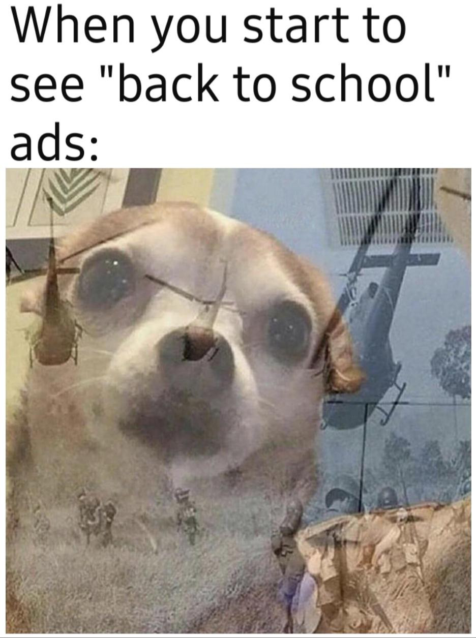 Crispy Meme #400 | Scrolller