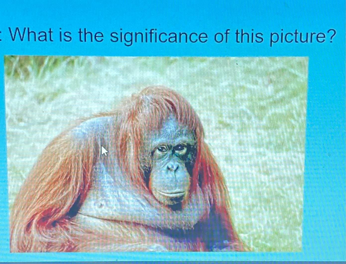 Critical thinking | Scrolller