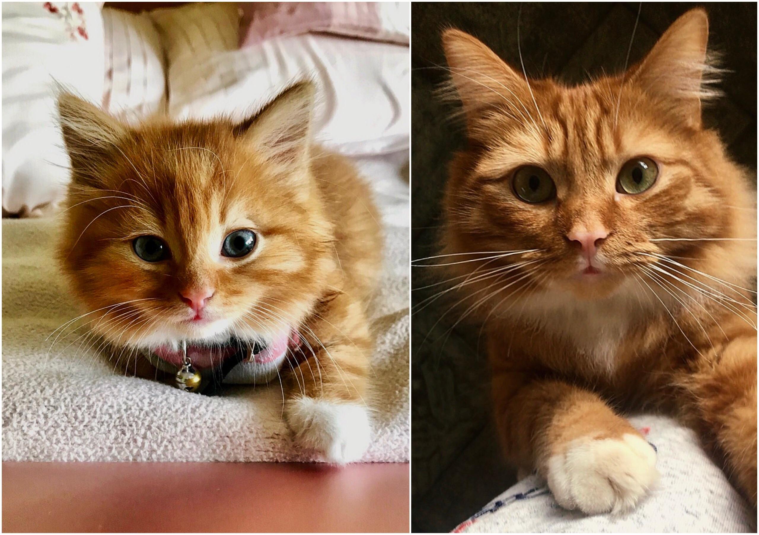 Cross post from r/aww | Scrolller