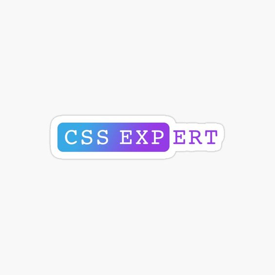css expert T-Shirt, sticker. Css is awesome | Scrolller