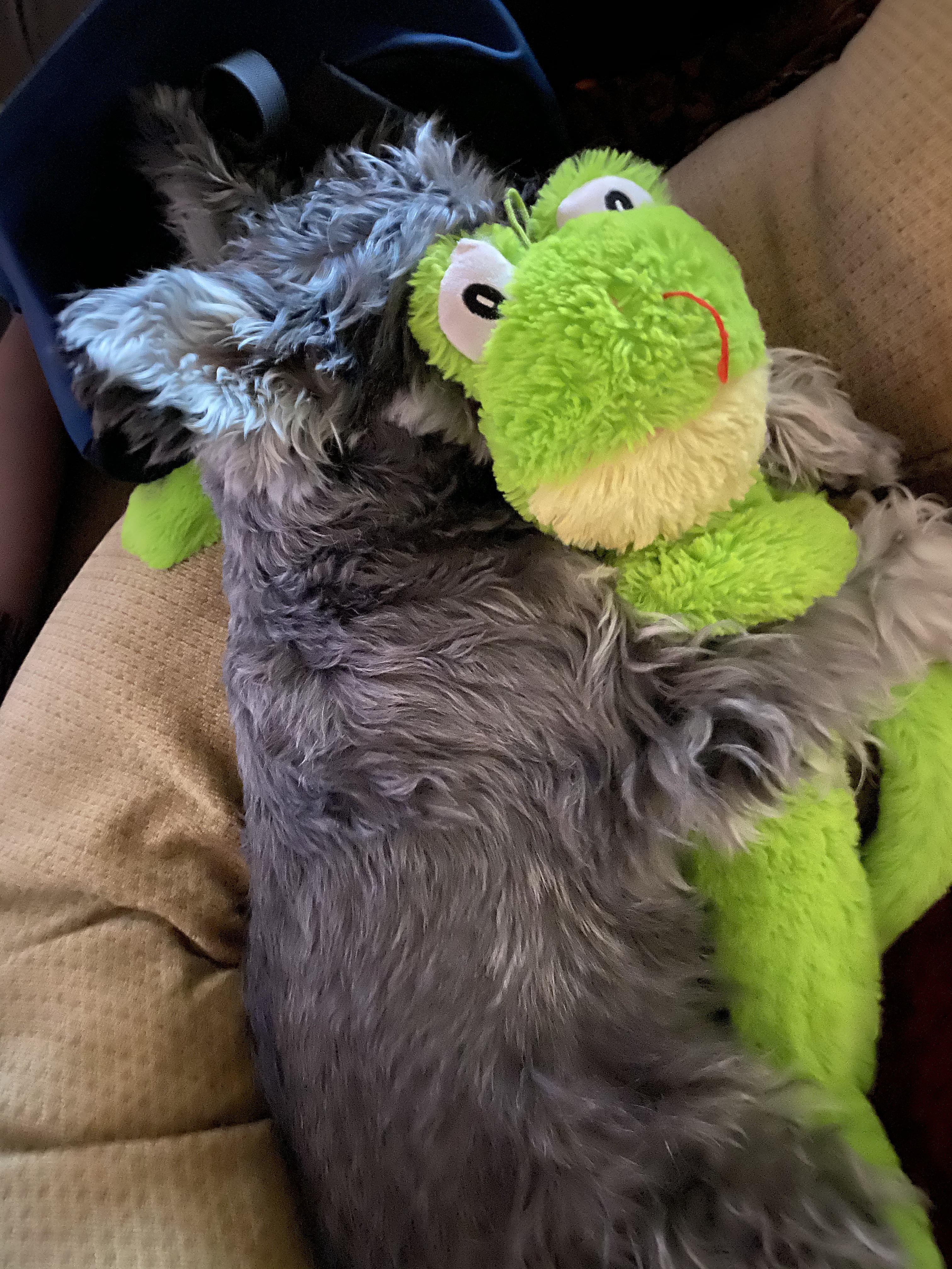 Cuddling her frog | Scrolller