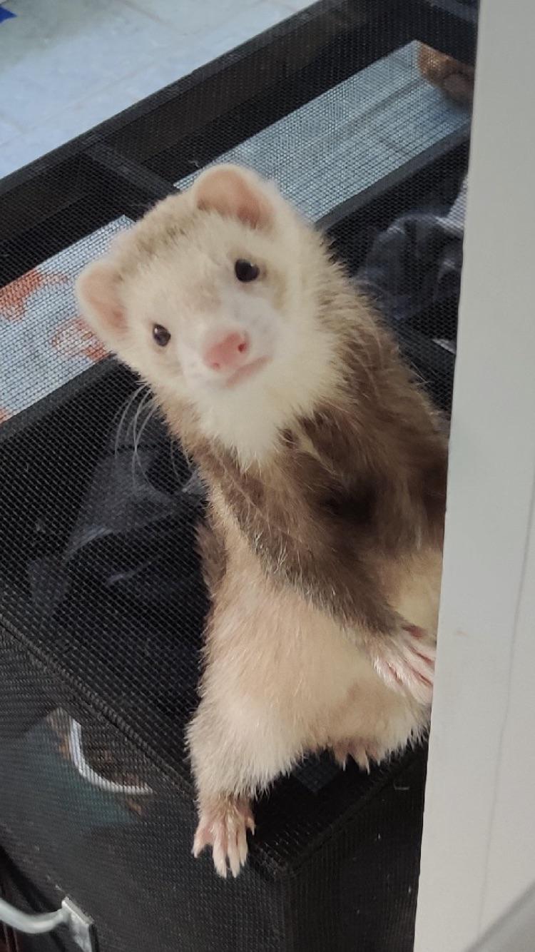 Curious boy | Scrolller