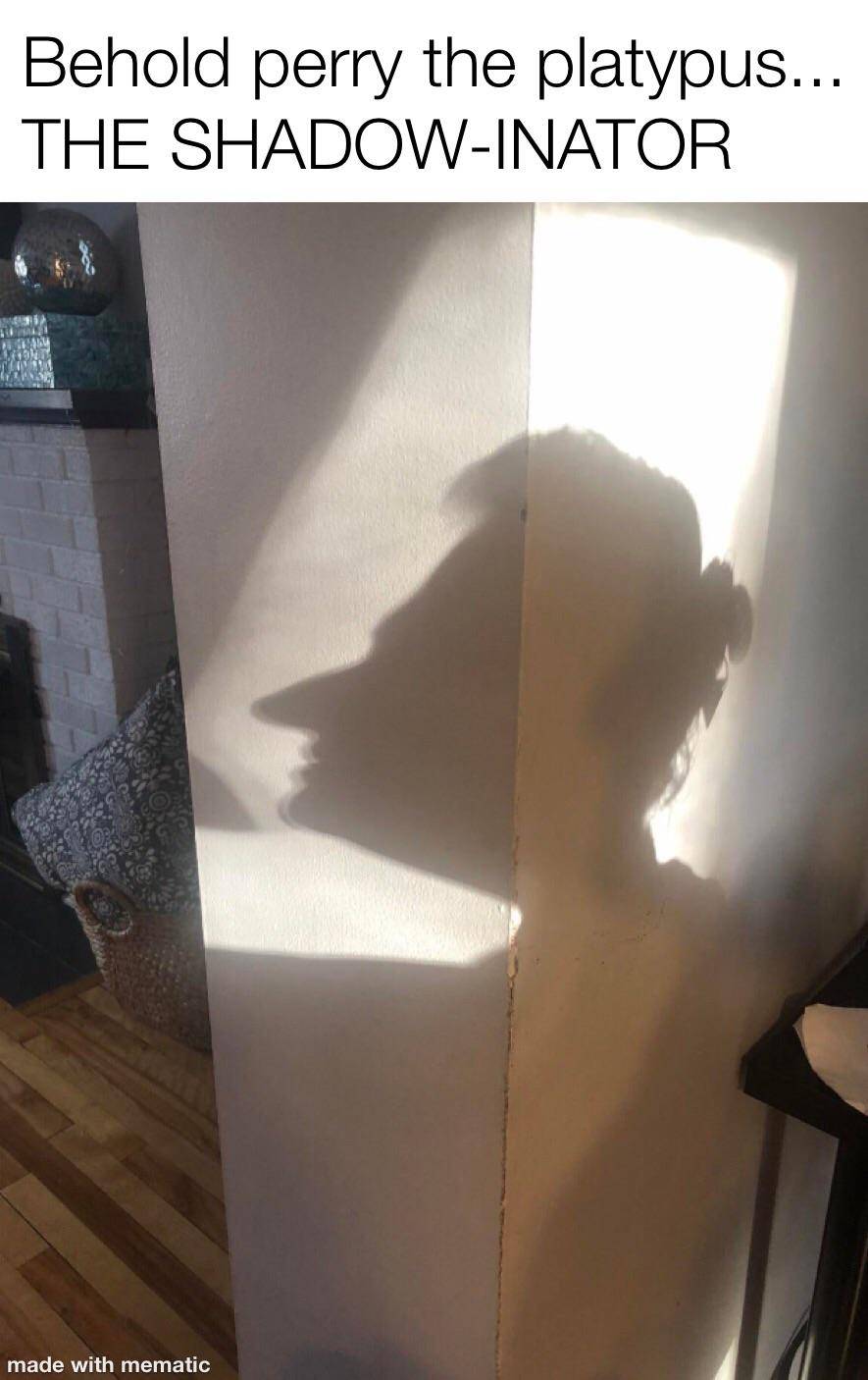 CURSE YOU PERRY THE PLATYPUS! | Scrolller