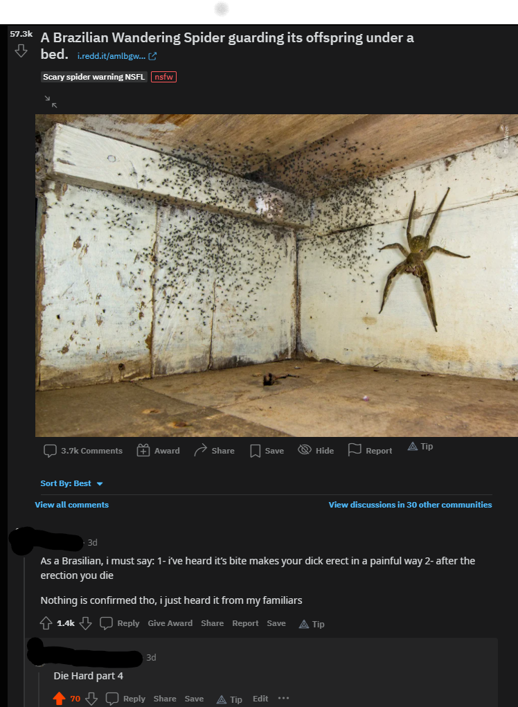 Cursed_aftermath | Scrolller