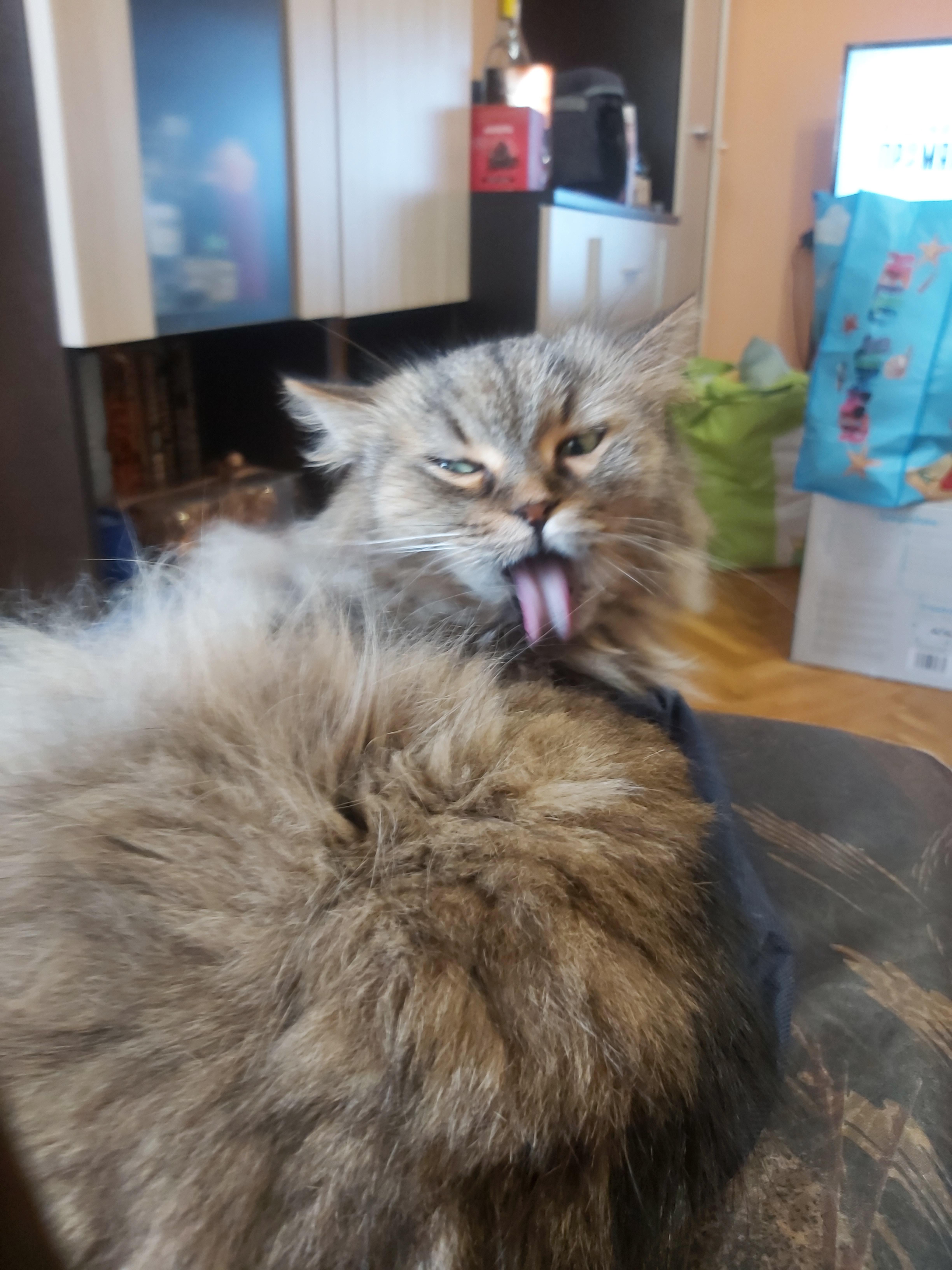 Cursed_ahegao | Scrolller