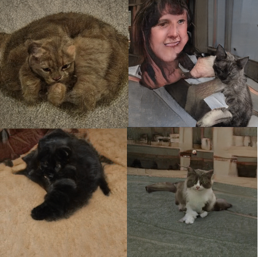 cursed_AI generated Cats | Scrolller