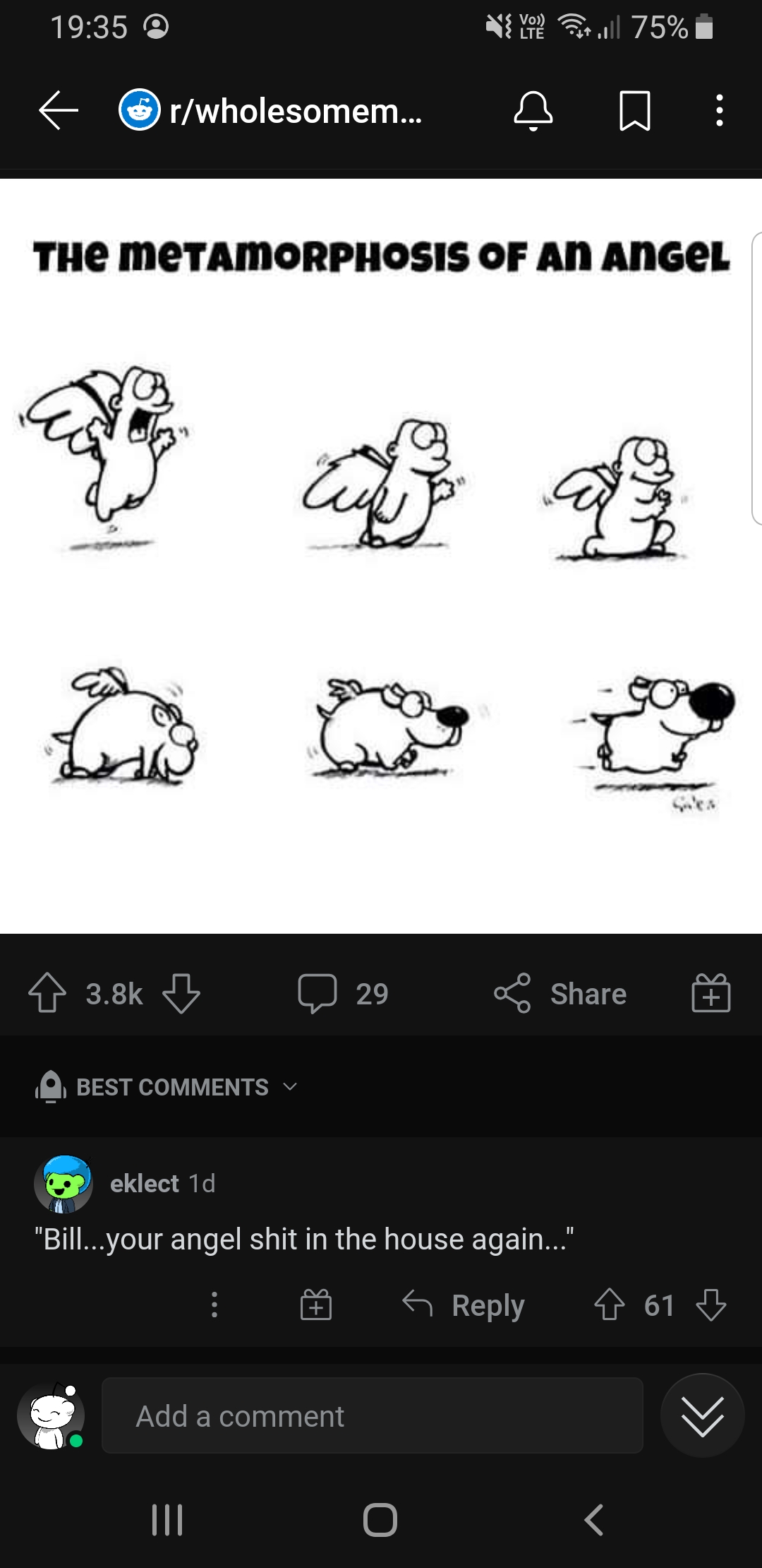 Cursed angel | Scrolller