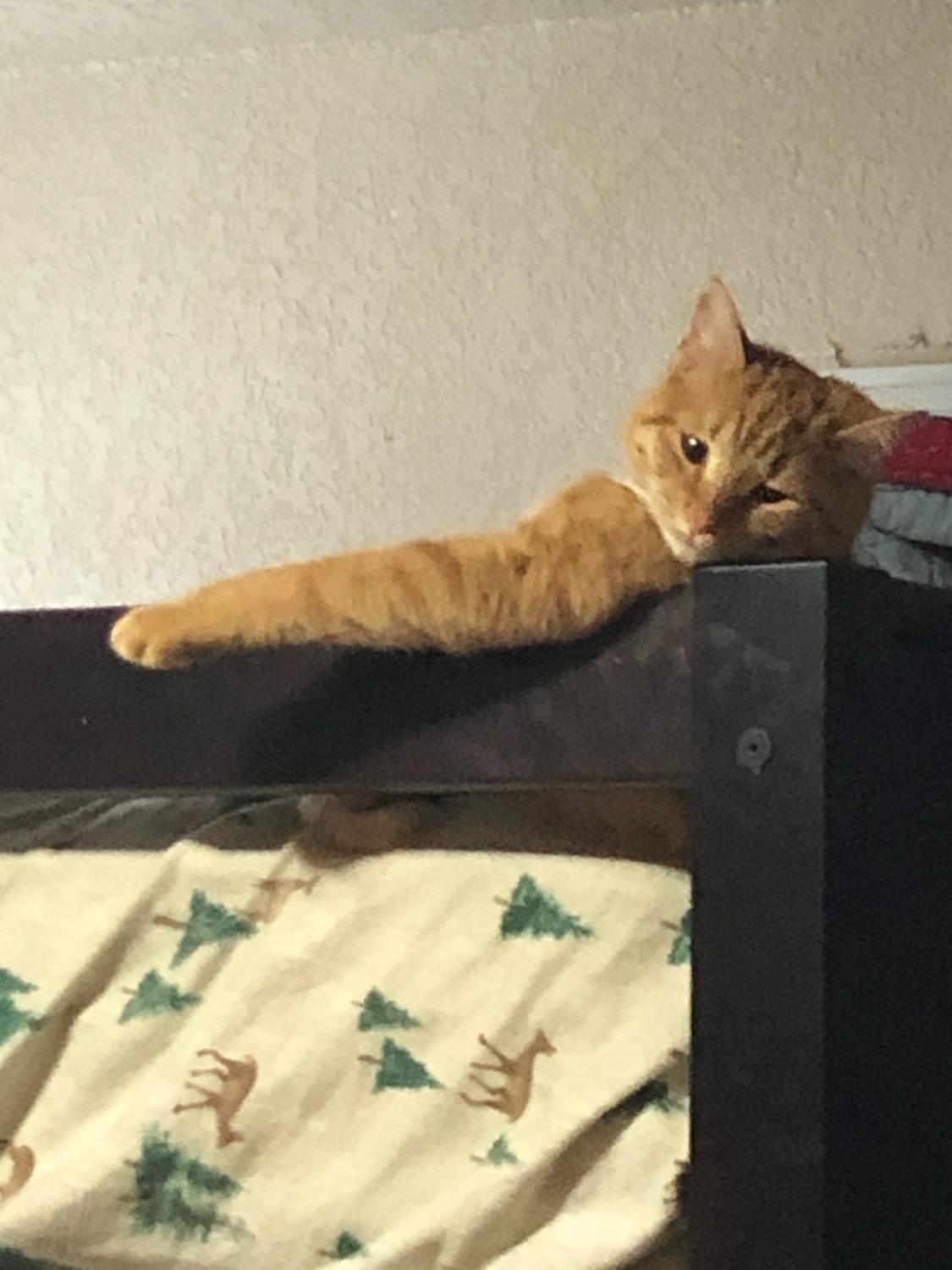 Cursed_arm | Scrolller