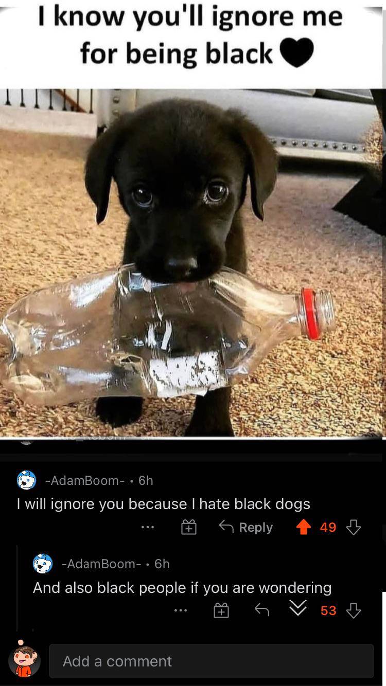 Cursed_blackdogs | Scrolller