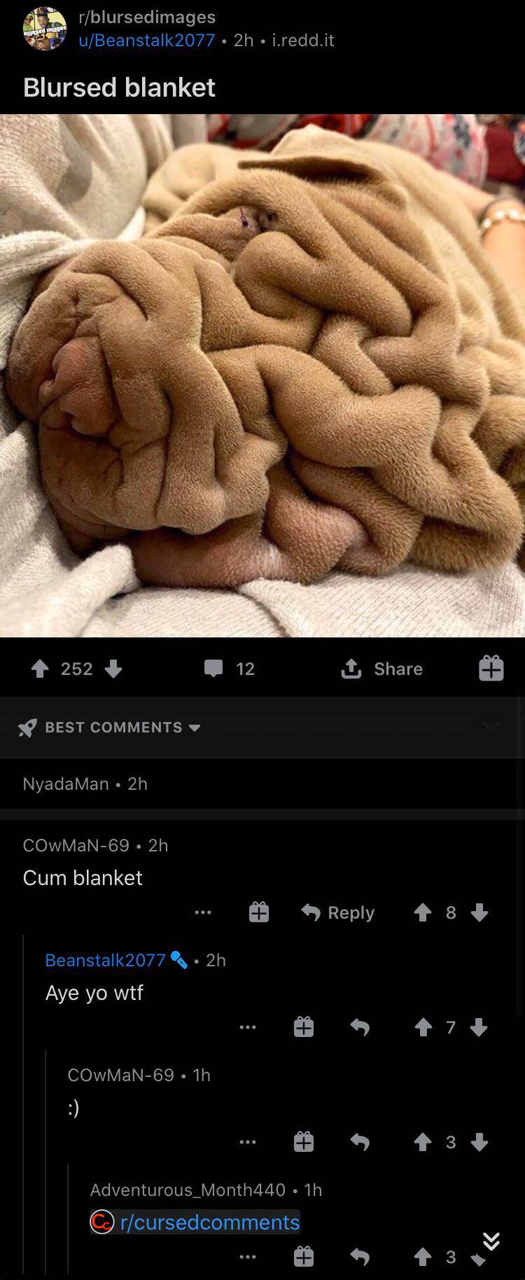 Cursed blanket | Scrolller