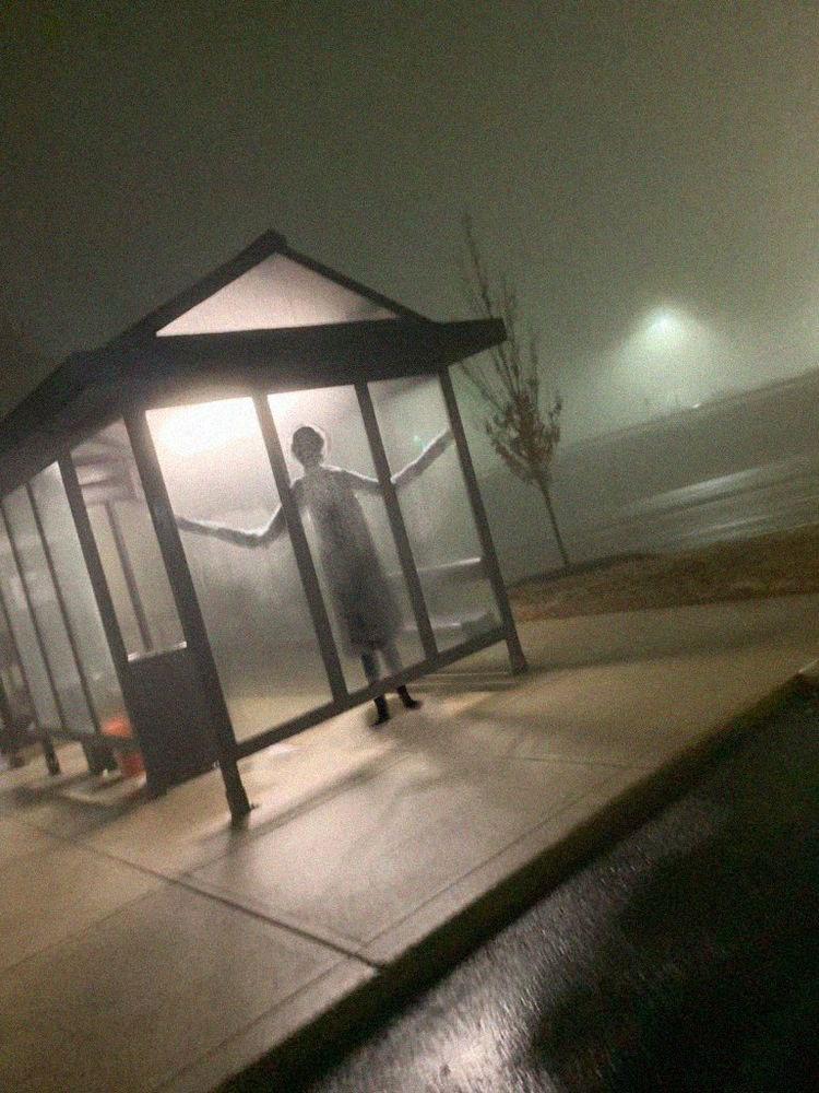 Cursed_bus stop | Scrolller