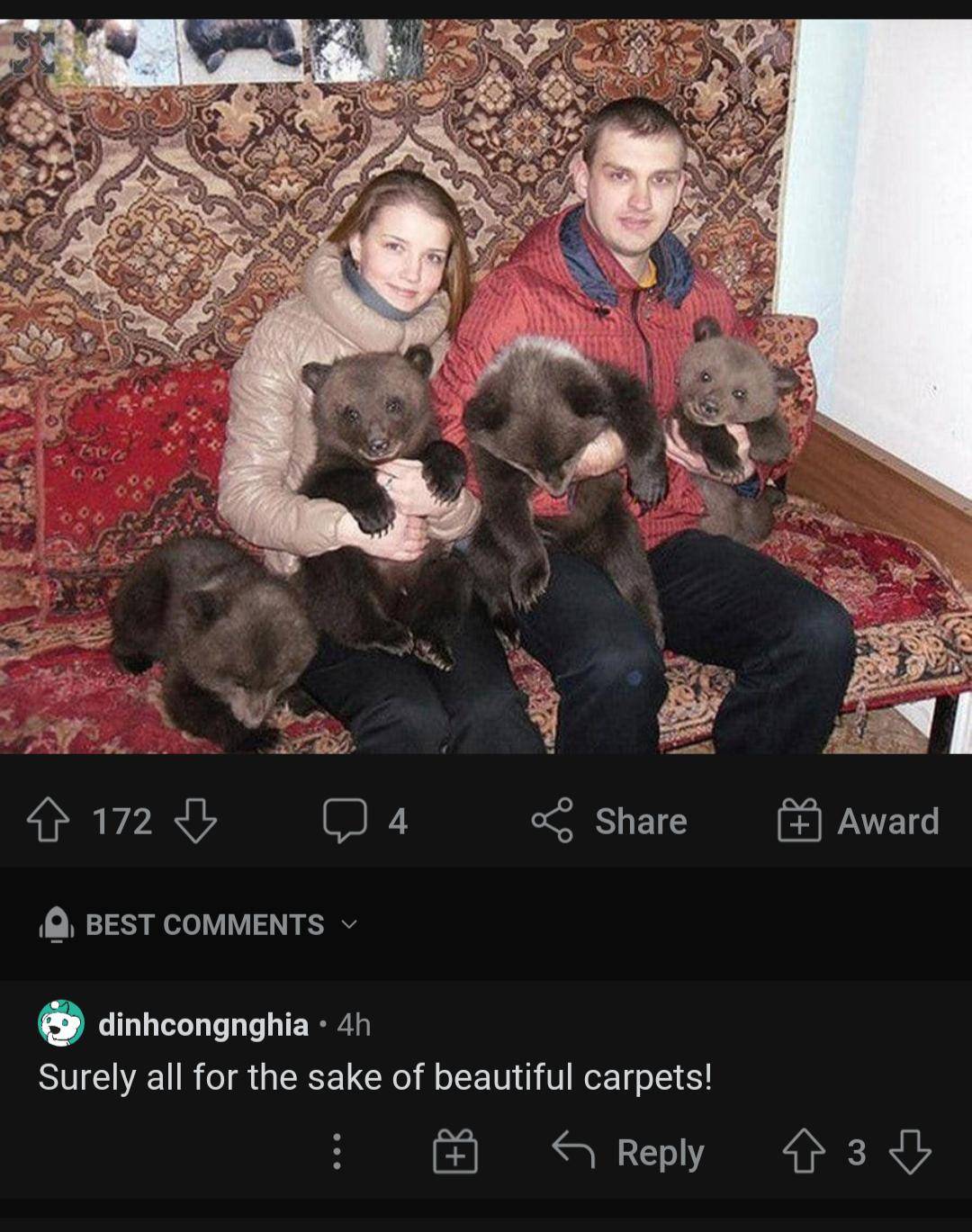 Cursed_Carpets | Scrolller