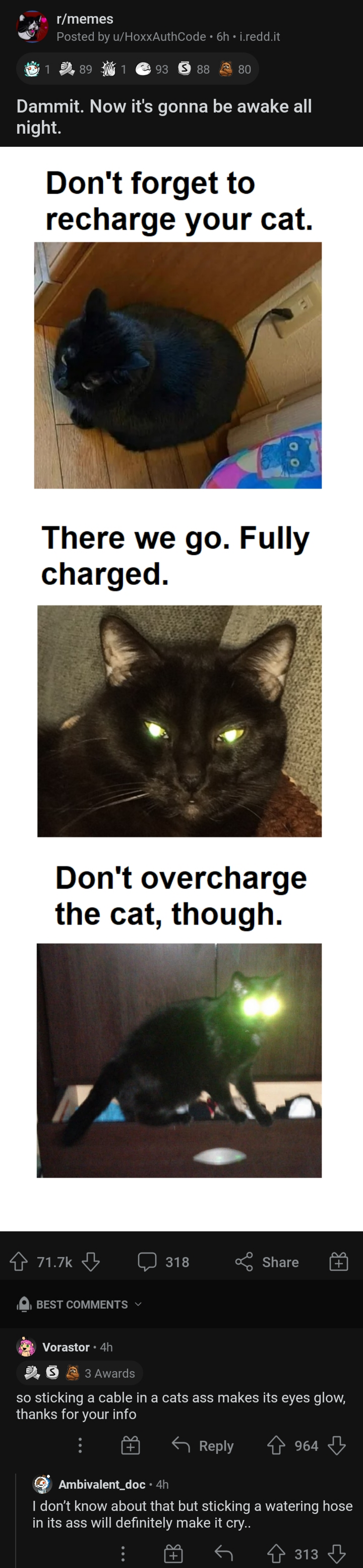 Cursed_Cat_Charger | Scrolller