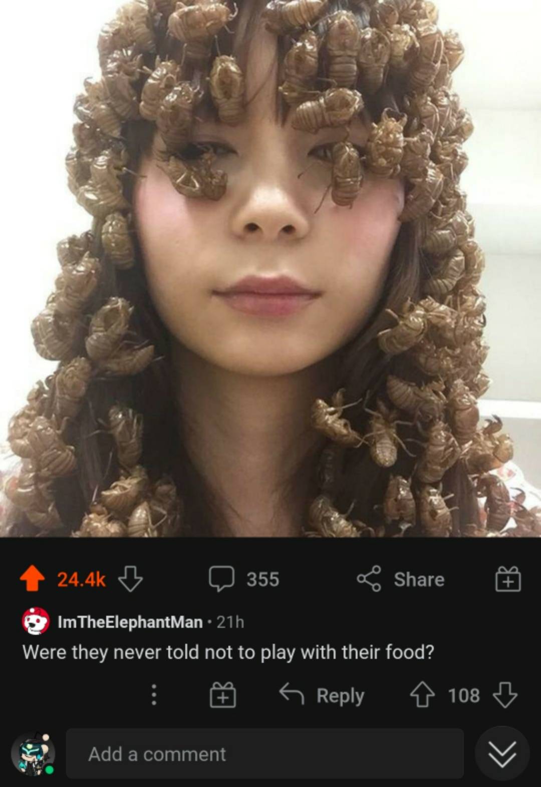 Cursed_Cicada | Scrolller