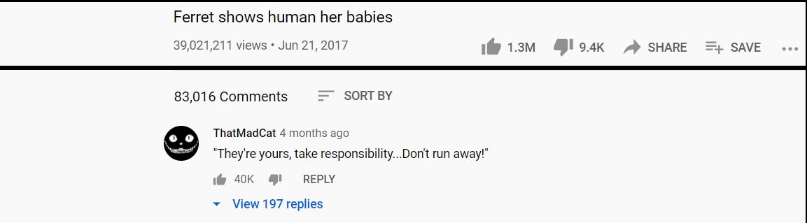 Cursed Comment Section | Scrolller