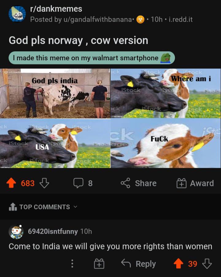 Cursed_Cow | Scrolller