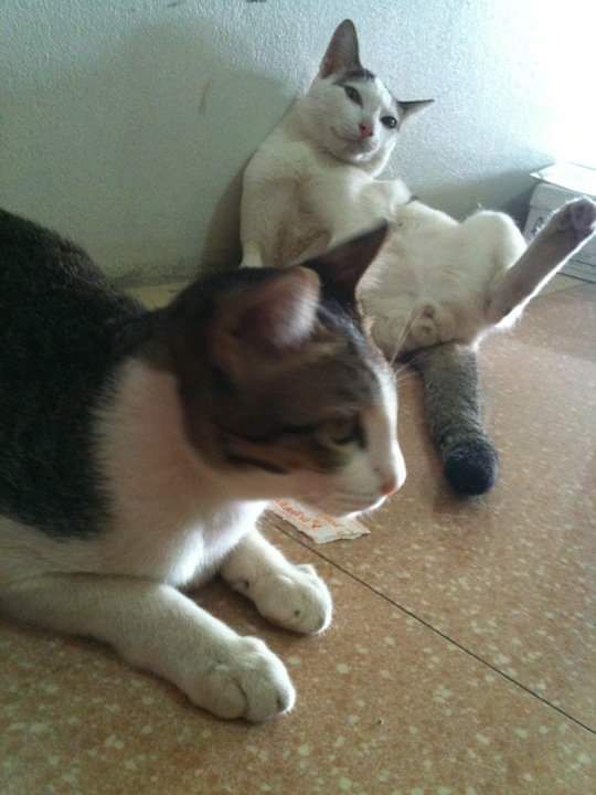 cursed_date | Scrolller