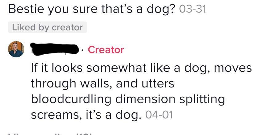 Cursed_dog | Scrolller