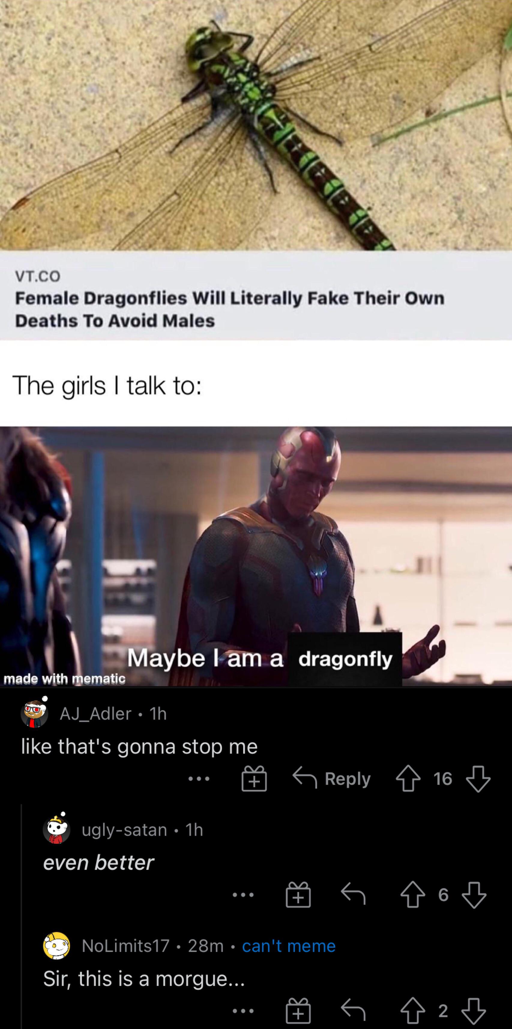 cursed_dragonfly | Scrolller