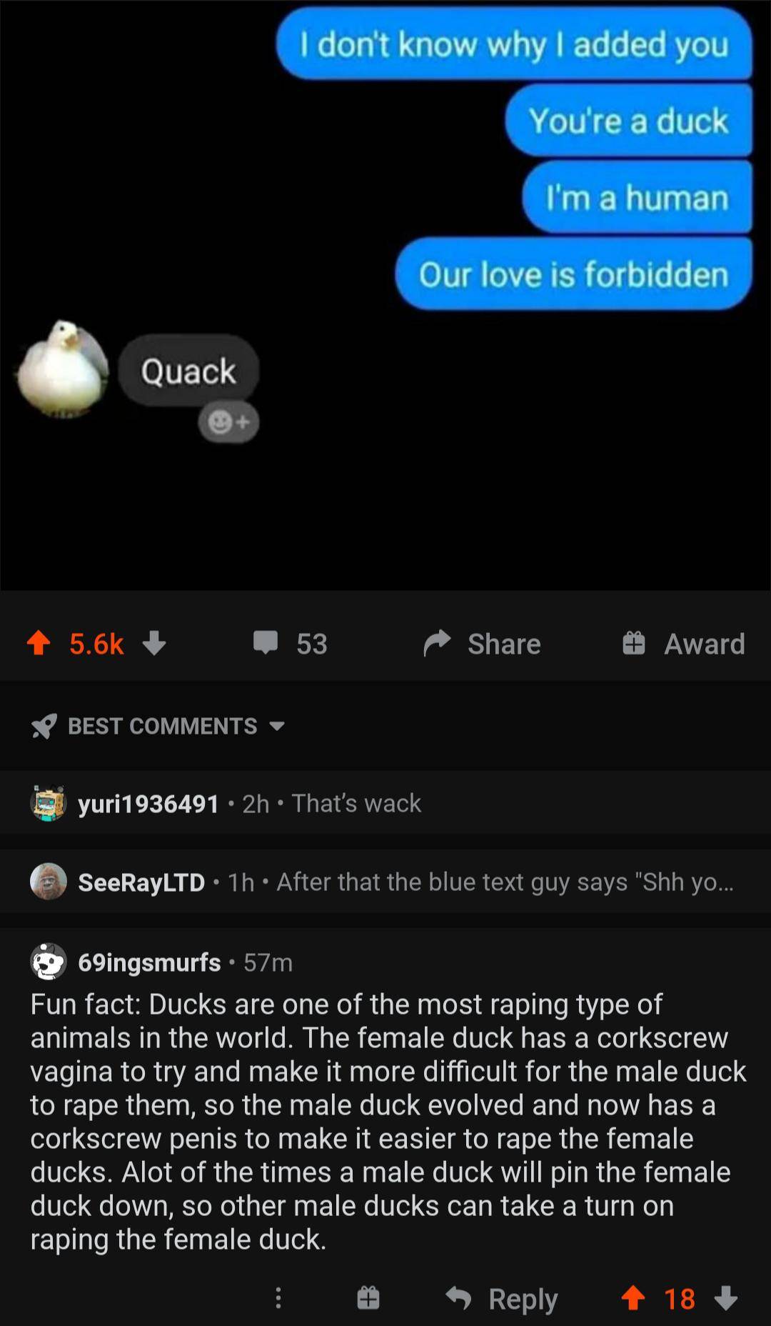 Cursed_duck | Scrolller