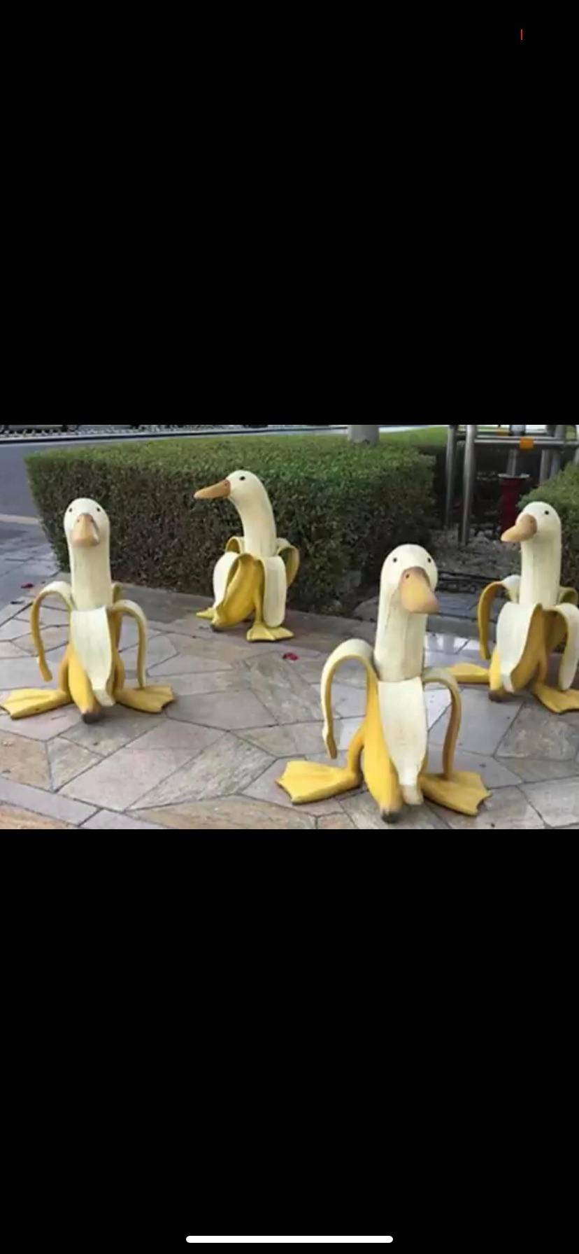 Cursed ducks 🍌 | Scrolller