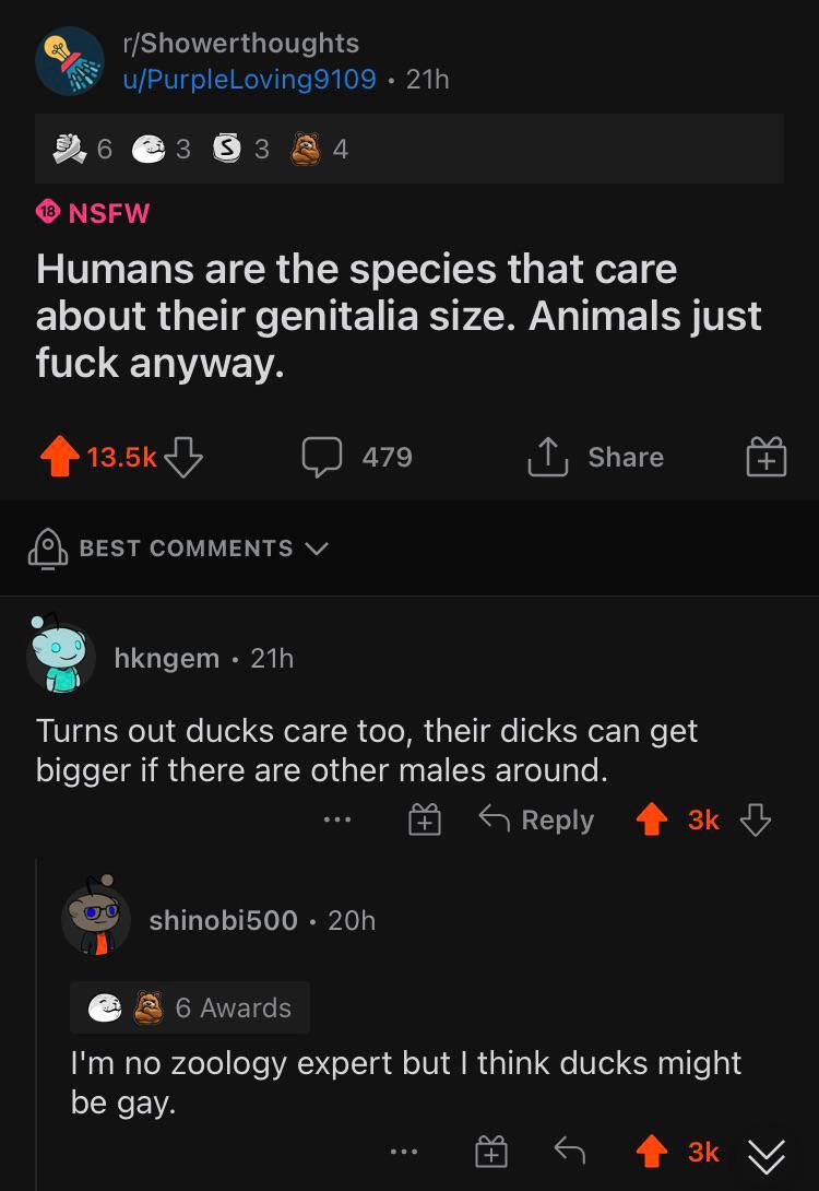 Cursed_Ducks | Scrolller