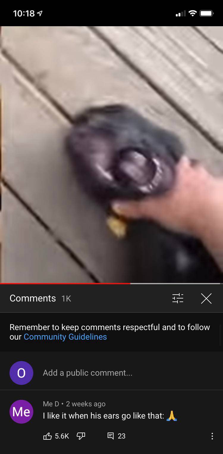 Cursed_Ears | Scrolller