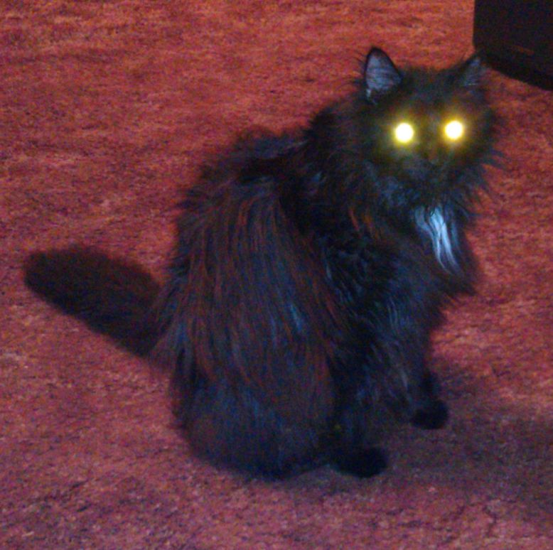 cursed_eyes | Scrolller