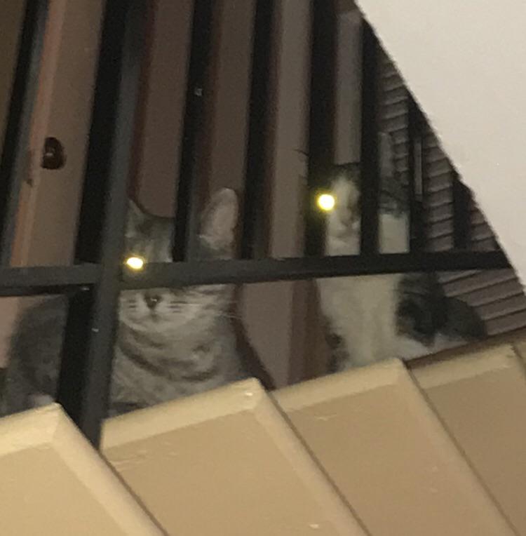 Cursed_eyes | Scrolller