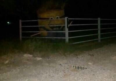 Cursed farm pen? | Scrolller