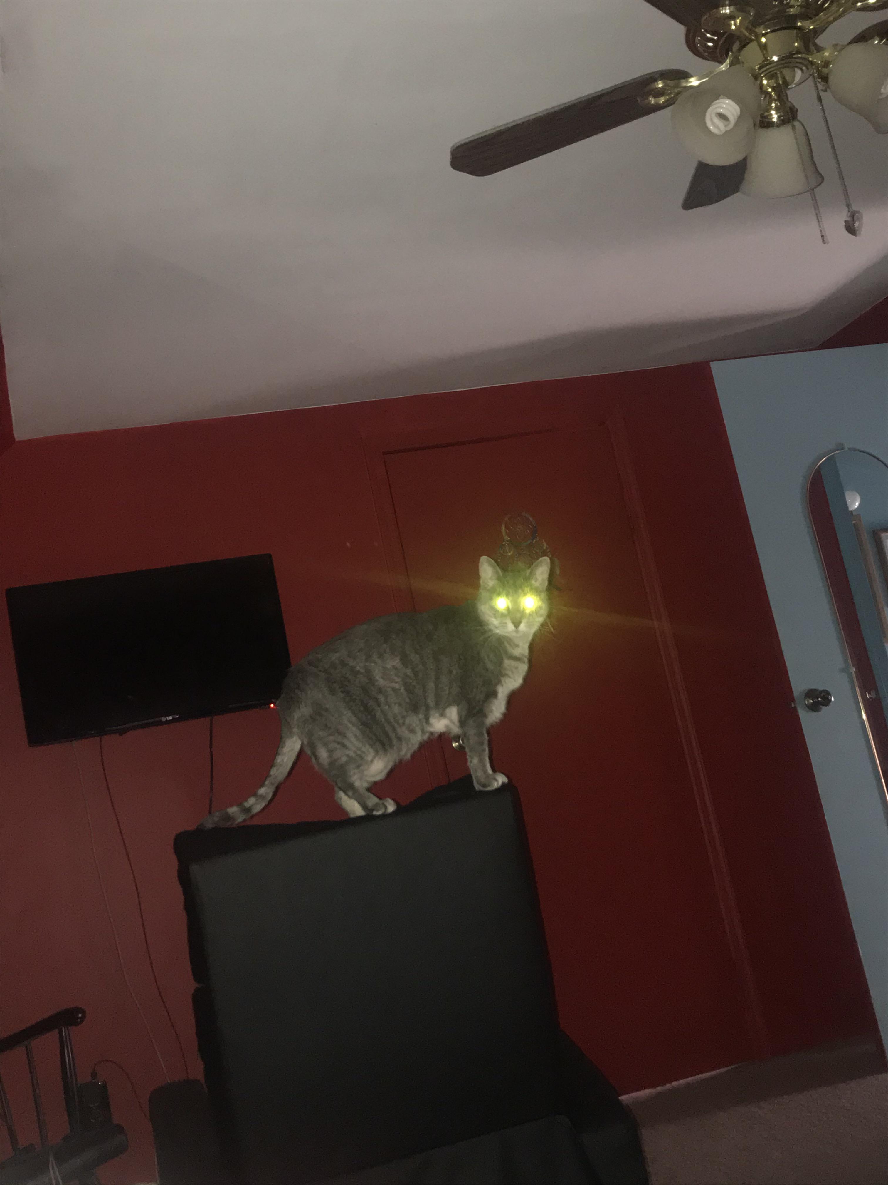 Cursed_Flash | Scrolller