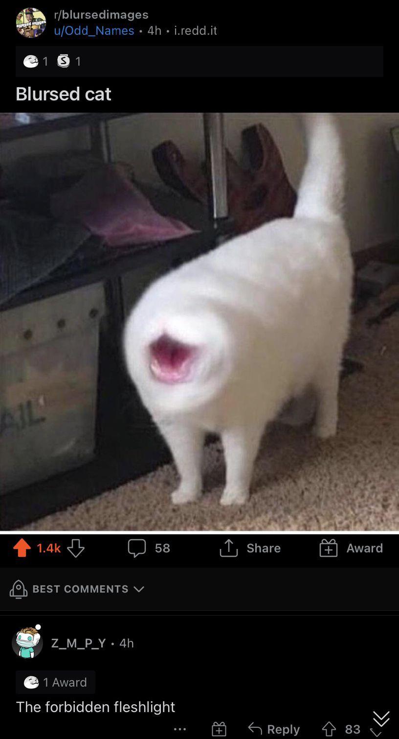 Cursed_fleshlight | Scrolller