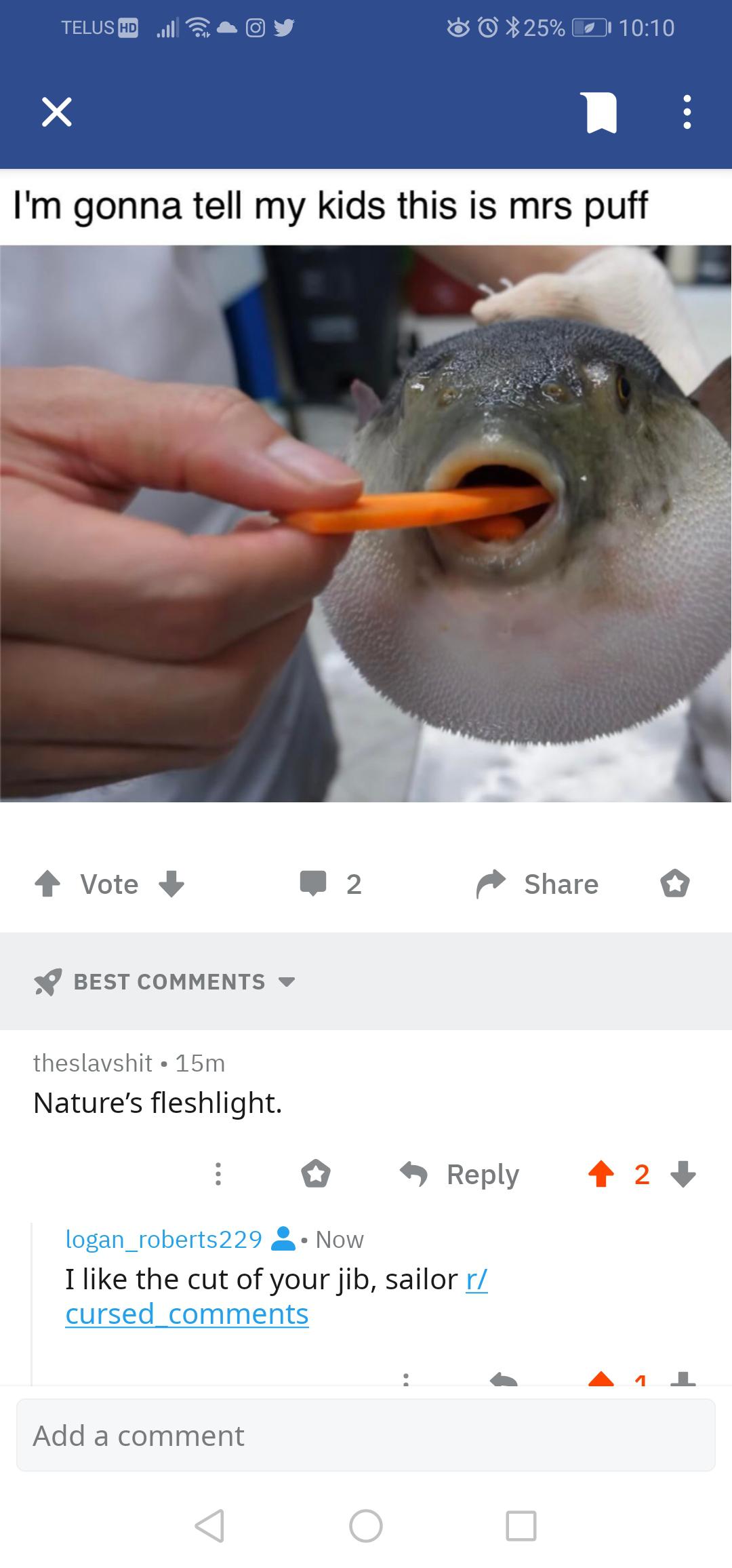 Cursed_fleshlight | Scrolller