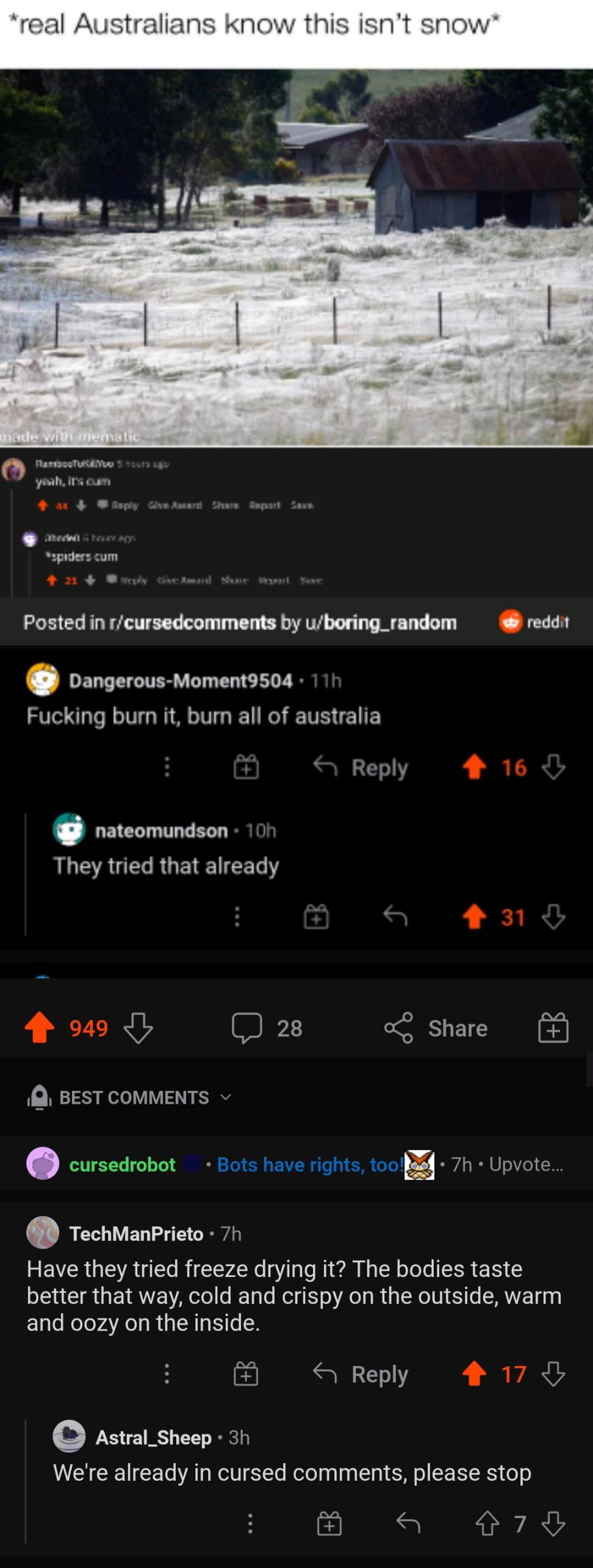 Cursed_freeze | Scrolller