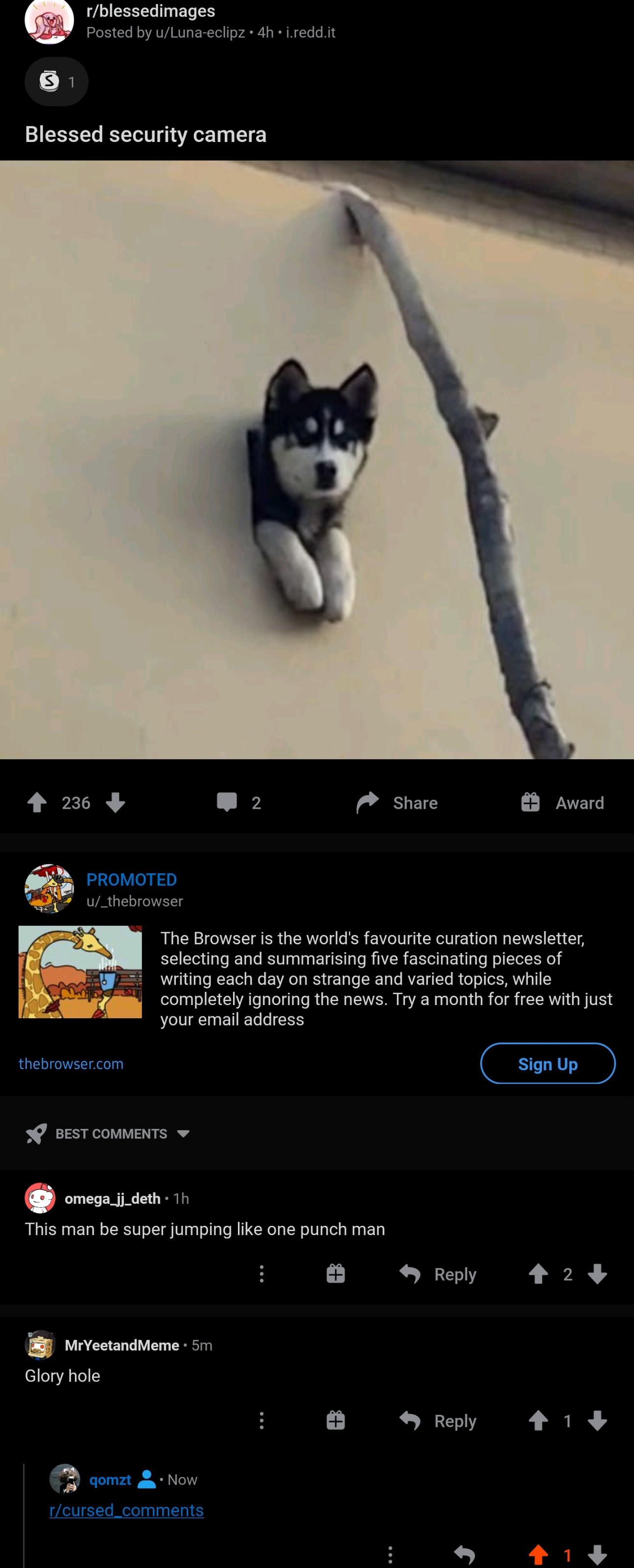 cursed_gloryHole | Scrolller