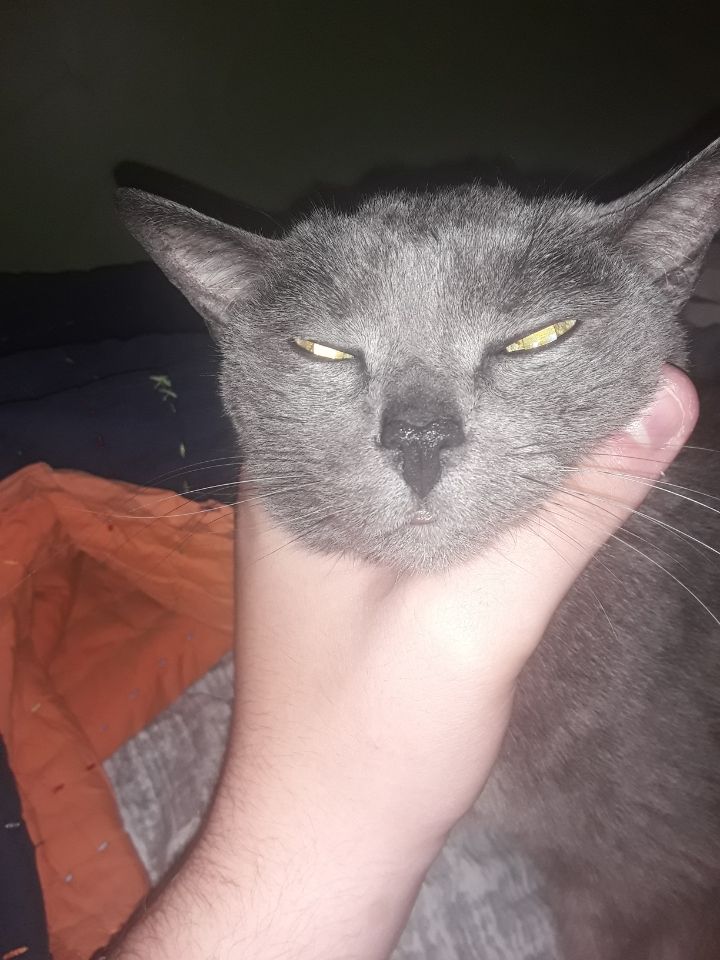 cursed_grip | Scrolller