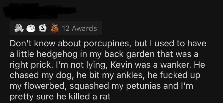 Cursed Hedgehog | Scrolller