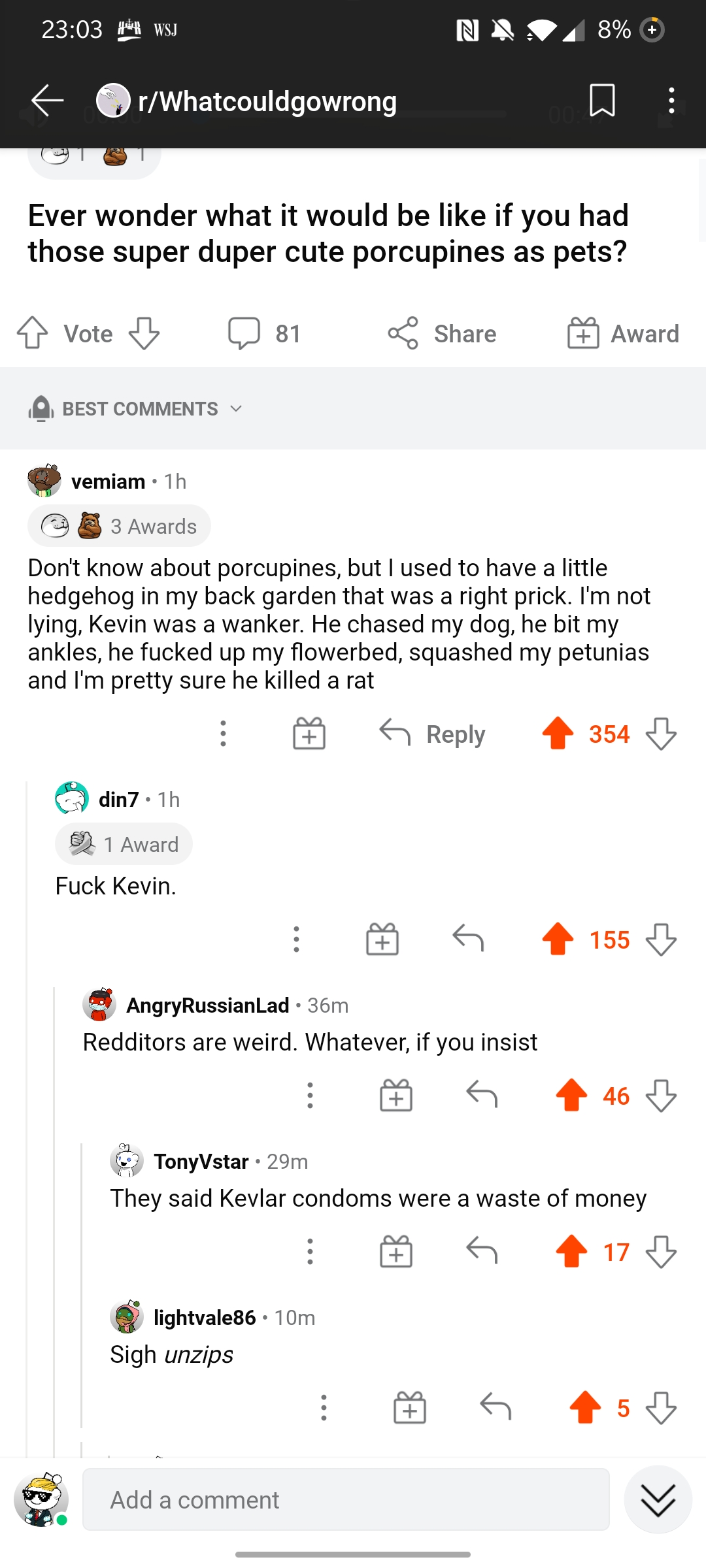 Cursed Hedgehog | Scrolller