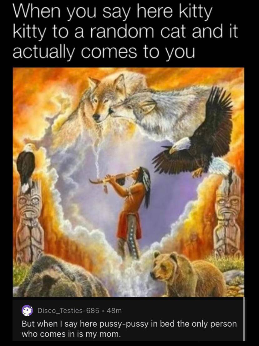 Cursed_kitty.zip | Scrolller