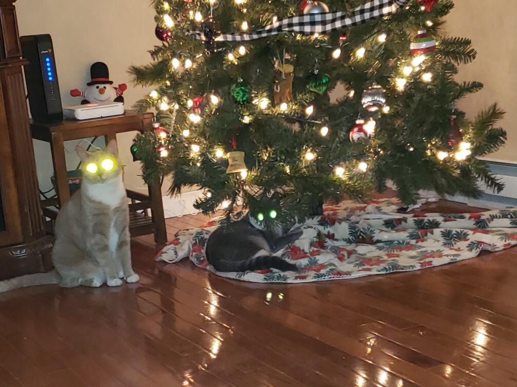 cursed_laser beam eyes | Scrolller