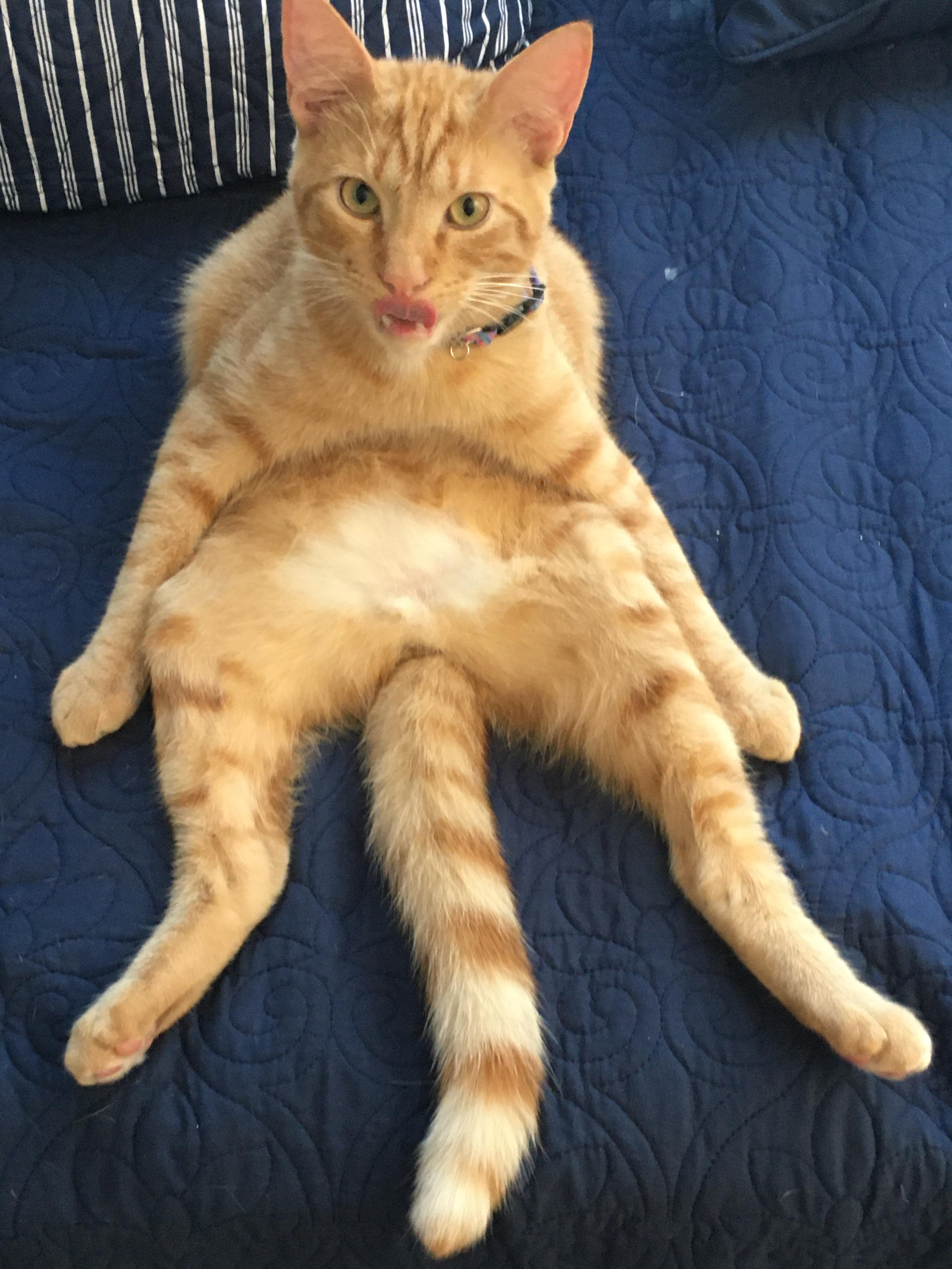 cursed_lick | Scrolller