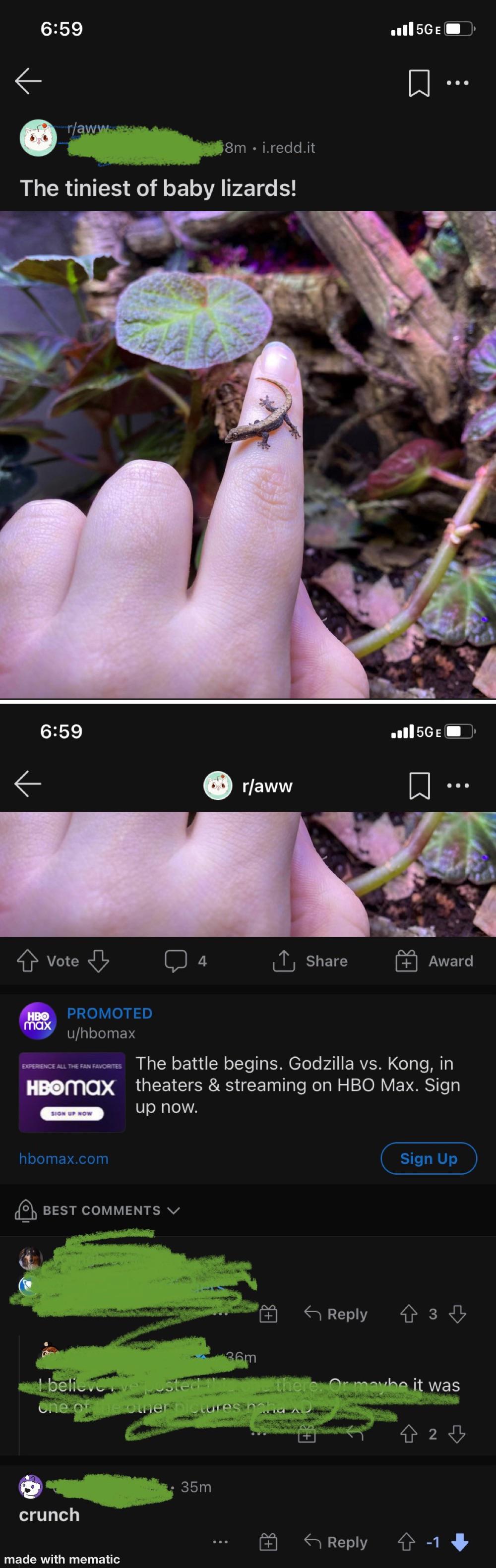 Cursed lizard | Scrolller