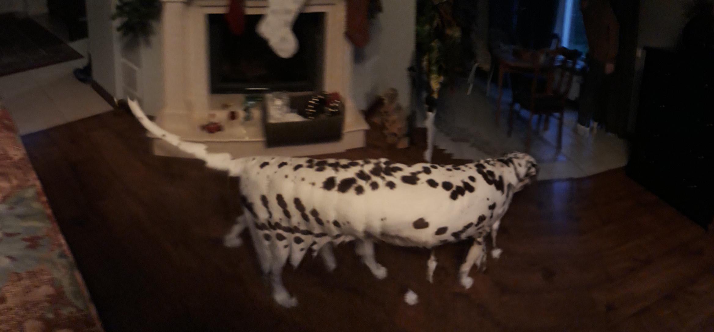 Cursed_Long | Scrolller