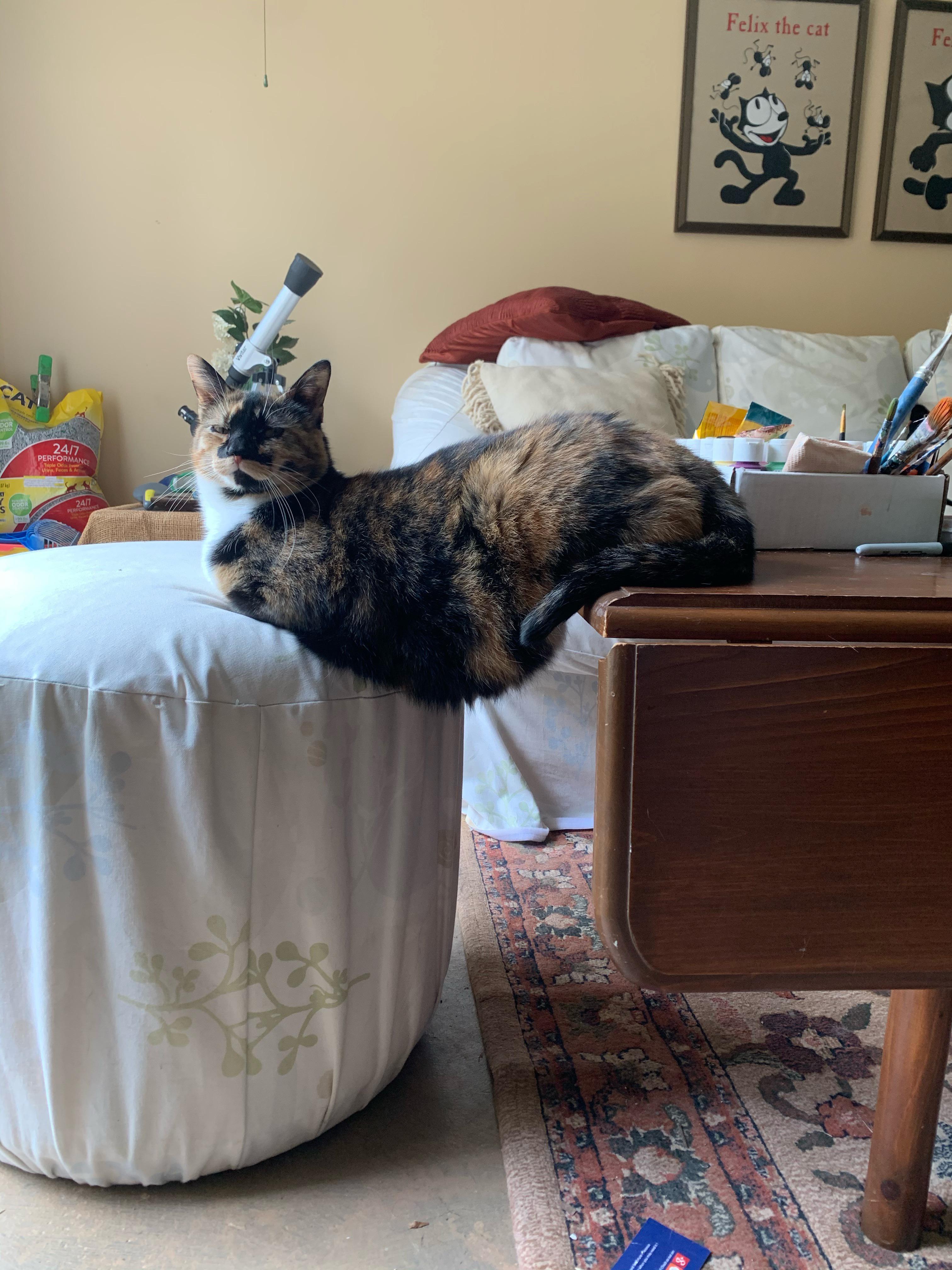 Cursed_longgoerl2 | Scrolller